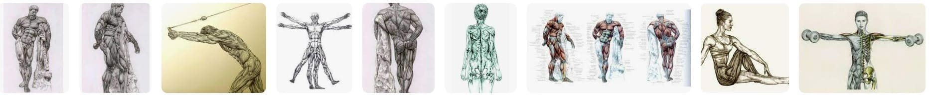 Frédéric Delavier - XTREM by LAROQ